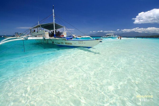 Full Day Canyoning and Whaleshark Adventure from Cebu City or Mactan Area - Frequently Asked Questions