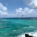 Full-Day Catamaran Cozumel Tour with Sky Snorkeling - Practical Details That Matter