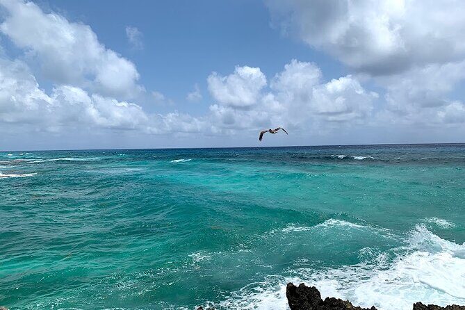 Full-Day Catamaran Cozumel Tour with Sky Snorkeling - Practical Details That Matter