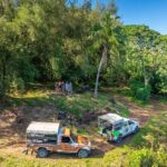 Full Day Combo 4X4 Adventure Tour & Motu FANFAN Pass with Buffet - What Makes This Tour Stand Out?