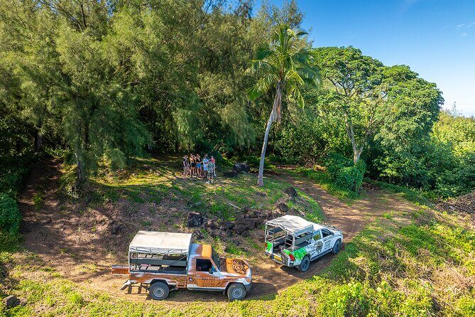 Full Day Combo 4X4 Adventure Tour & Motu FANFAN Pass with Buffet - What Makes This Tour Stand Out?