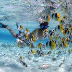 Full Day Combo Snorkeling with Buffet and Bora Bora ATV Tour - The Sum Up