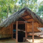 Full day Cu Chi Tunnels and Mekong Delta - Journeying to the Mekong Delta: Scenic Drive & Waterway Exploration