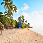 Full Day Cultural Island Tour with Lunch & Cruise - Who Will Love This Tour?