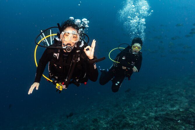 Full-Day Discover Scuba Diving Tour for Beginners in Tulamben - What Travelers Say