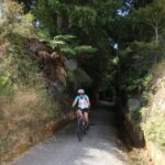 Full Day Ebike Tour - Karangahake Gorge NZ - Why This Tour Offers Great Value