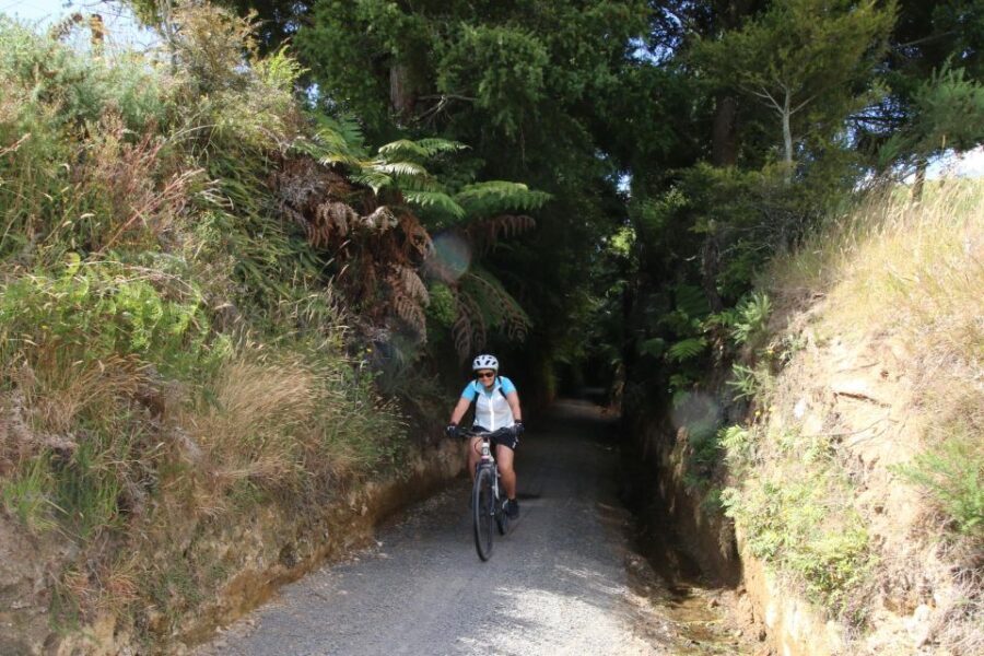 Full Day Ebike Tour - Karangahake Gorge NZ - Why This Tour Offers Great Value