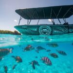 Full Day Eco Snorkeling & Traditional BBQ Lunch on a Motu - Is It Worth the Price?