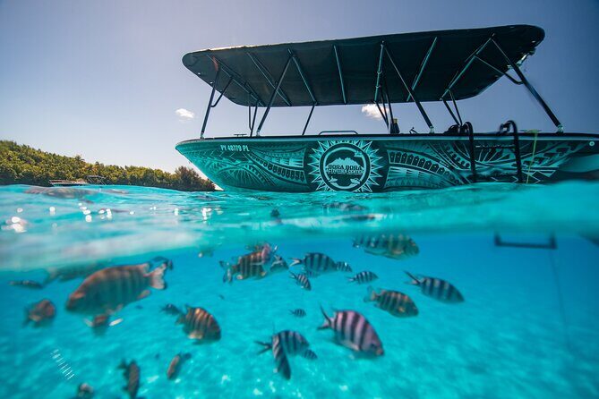 Full Day Eco Snorkeling & Traditional BBQ Lunch on a Motu - Is It Worth the Price?
