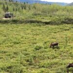 Full Day: Fairbanks to Denali Winter Adventure & SHERP Tour - What Makes This Tour Special?