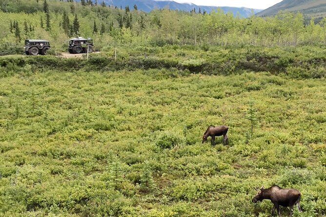 Full Day: Fairbanks to Denali Winter Adventure & SHERP Tour - What Makes This Tour Special?