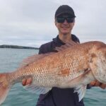 Full Day Fishing Trip on Auckland Waitemata Harbour - Authentic Experiences and Real User Insights