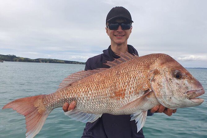 Full Day Fishing Trip on Auckland Waitemata Harbour - Authentic Experiences and Real User Insights