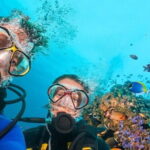 Full Day Fun Diving at Tulamben All inclusive - Key Points
