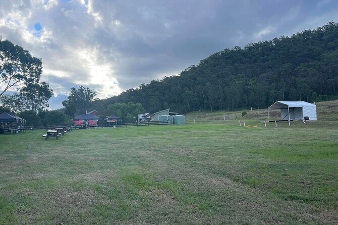 Full Day Gokula Farm and Cessnock with New Castle - Who Will Love This Tour?