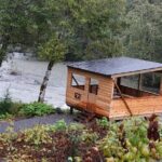 Full Day Grizzly Bear Tour to Toba Inlet - Value and What You Get