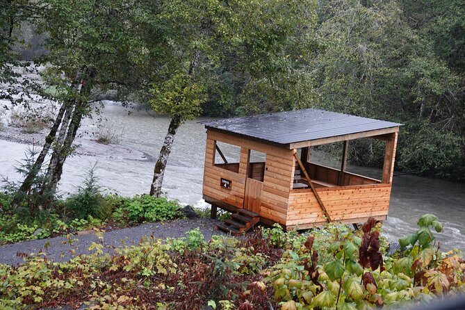Full Day Grizzly Bear Tour to Toba Inlet - Value and What You Get