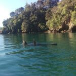 Full day Guided Sea Kayak Tour from Picton - Who Will Love This Experience?