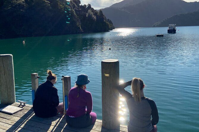 Full-Day Guided Sea Kayak Trip from Picton - What to Expect on the Itinerary