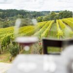 Full-Day Guided Tour on the Beautiful Mornington Peninsula. - A Complete Look at the Mornington Peninsula Tour