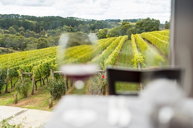 Full-Day Guided Tour on the Beautiful Mornington Peninsula. - A Complete Look at the Mornington Peninsula Tour