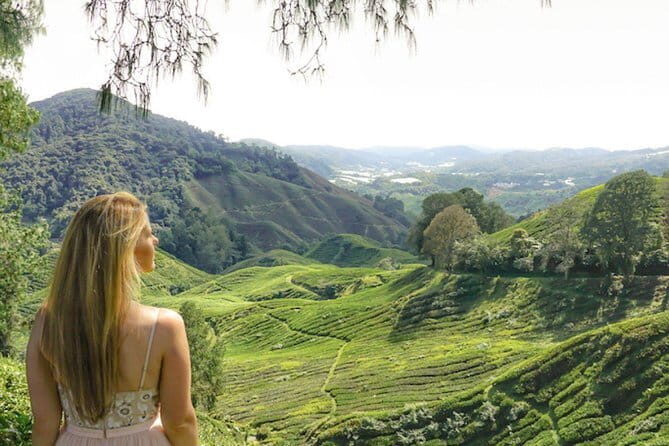 Full-Day Guided Tour to Malacca from Kuala Lumpur with Lunch - Who Will Love This Tour?
