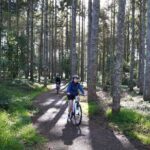 Full Day Guided Waikato River Trail E-bike Tour - The Itinerary: A Day Packed with Highlights