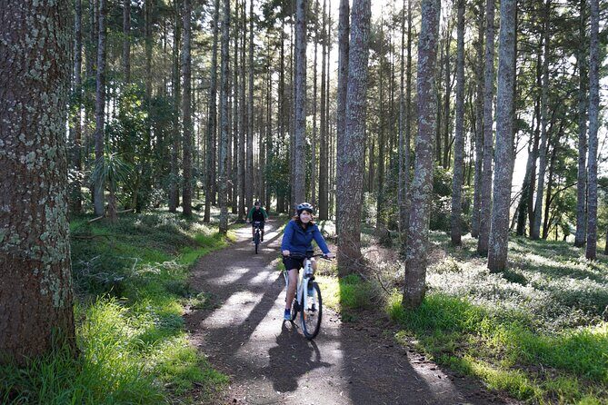Full Day Guided Waikato River Trail E-bike Tour - The Itinerary: A Day Packed with Highlights