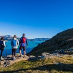 Full Day Guided Walking Tour and Picnic around Godley Head - Who Will Love This Tour?