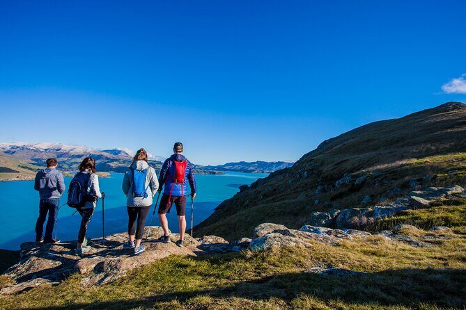Full Day Guided Walking Tour and Picnic around Godley Head - Who Will Love This Tour?