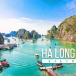 Full Day Halong Bay Tour from Hanoi - Visiting Sung Sot Cave: Majestic Natural Wonder