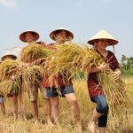Full-Day Hoi An Town and Tra Que Vegetable Village Tour - Who Will Love This Tour?