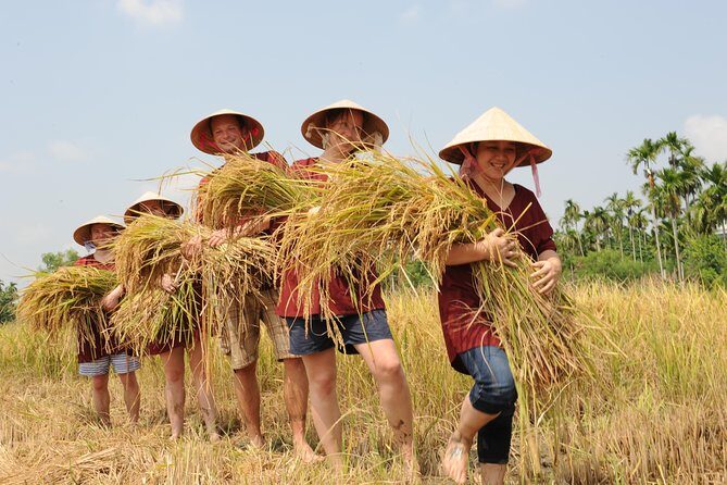 Full-Day Hoi An Town and Tra Que Vegetable Village Tour - Who Will Love This Tour?