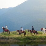 Full Day Horse Riding to Sarangkot in Pokhara - What to Expect on the Horseback Journey