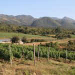 Full Day Inle Lake Trekking - Authentic Encounters and Unique Highlights