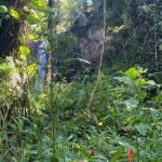 Full Day Island of Maui Private Tour - Who Will Love This Tour?
