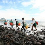 Full Day Jeju Private Customizable highlight Tour - What Makes This Tour Stand Out?