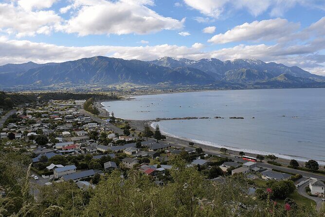 Full Day Kaikoura Tour Whale Watching Seals and Scenic Coast - Marine Wildlife Viewing: The Whale-Watching Cruise (3 Hours)