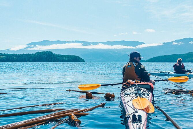 Full Day Kayaking Adventure on Vancouver Island - Valuing the Cost