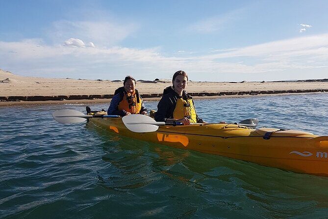 Full Day Kayaking Tour in Coorong National Park - Authentic Experiences and Real Travelers’ Feedback
