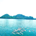 Full day : Kayaking,Swimming,Snorkeling,Sunset,Plankton - Key Points