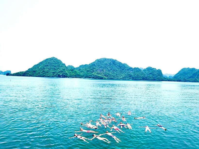 Full day : Kayaking,Swimming,Snorkeling,Sunset,Plankton - Key Points