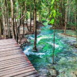 Full Day Krabi Jungle Tour with Hot Spring and Tiger Cave Temple - Who Will Love This Tour?