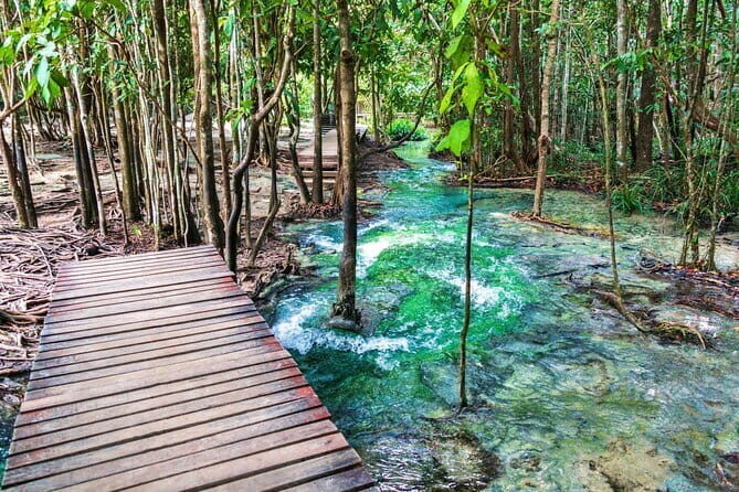 Full Day Krabi Jungle Tour with Hot Spring and Tiger Cave Temple - Who Will Love This Tour?