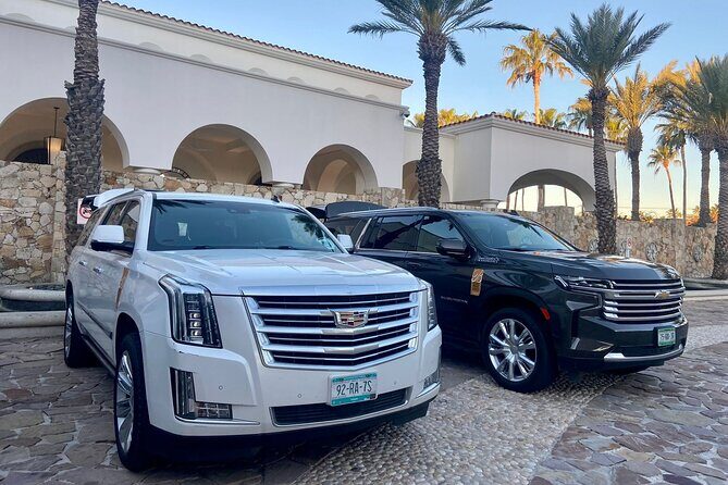 Full-Day La Paz Private Tour from Los Cabos - Overview of the Tour Experience