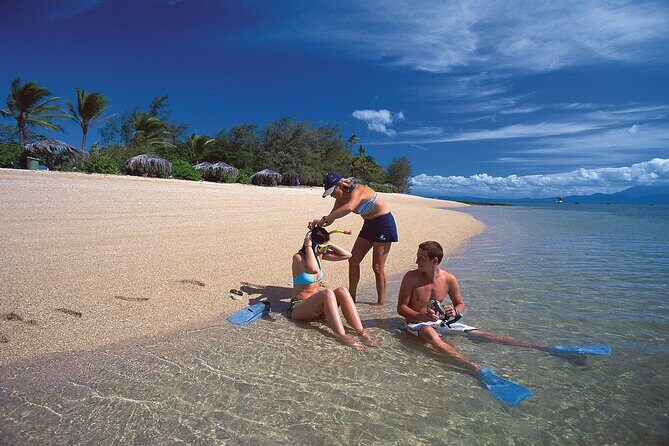 Full Day Low Isles Sailing & Snorkelling Cruise from Port Douglas - How It Compares to Other Tours
