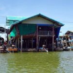 Full Day Mangrove Forest Conservation Centre - Practical Tips and What to Expect
