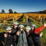 Full-Day Marlborough Wine Region Bike Hire - Value for Money