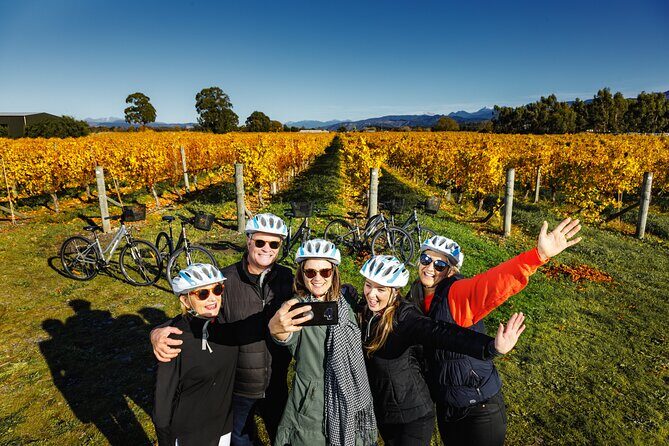 Full-Day Marlborough Wine Region Bike Hire - Value for Money