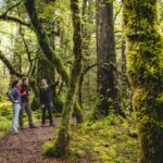 Full-Day Milford Sound Tour with Cruise and Walks from Te Anau - What’s Included and What’s Not